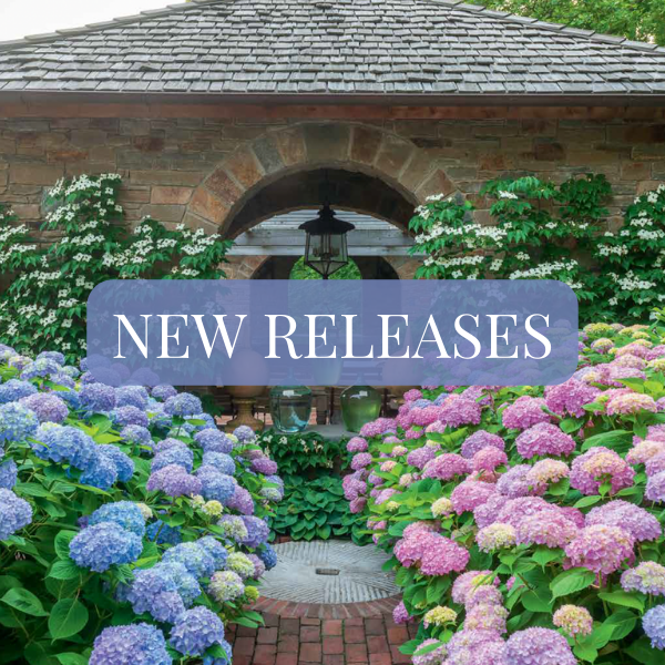 Gibbs Smith Book and Gift | Gibbs Smith